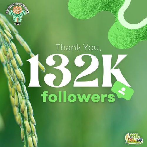Maraming salamat sa inyong suporta, mga Ka-Agri! – DEPARTMENT OF ... Maraming salamat sa inyong suporta, mga Ka-Agri! – DEPARTMENT OF ...